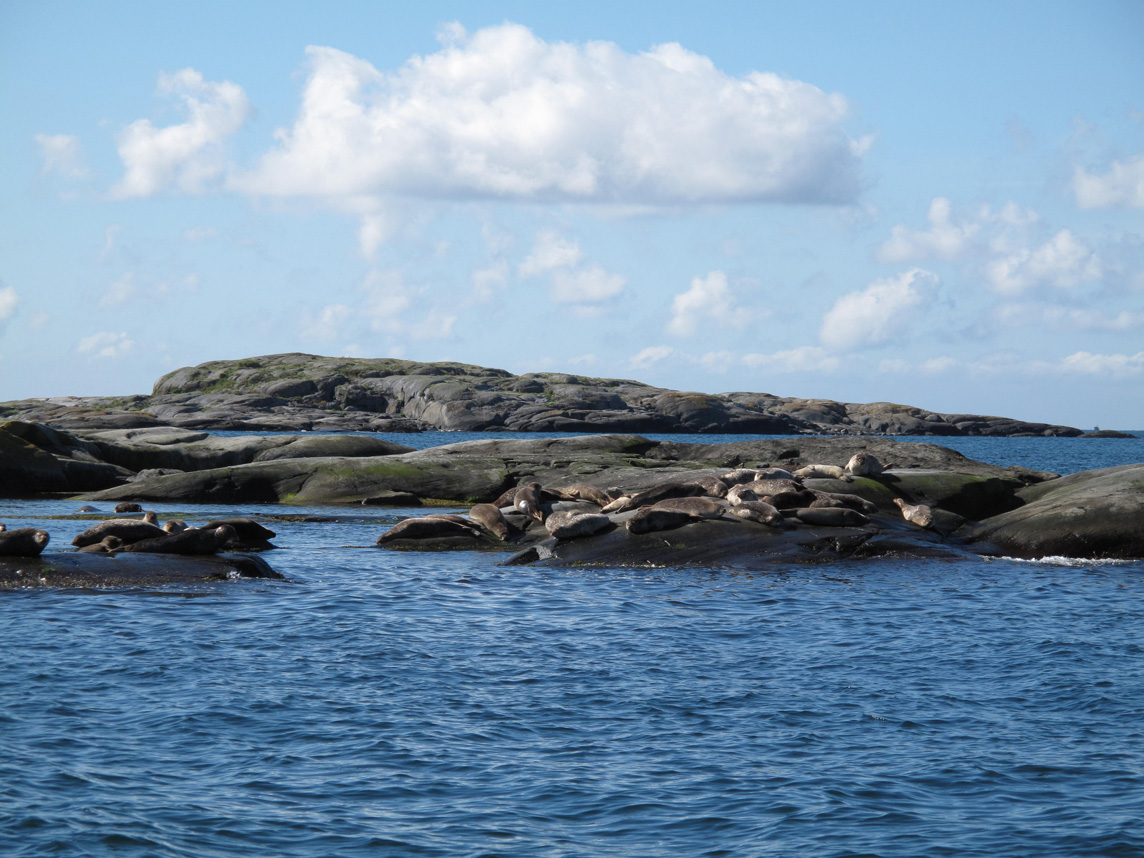 A trip to Vinga Lighthouse